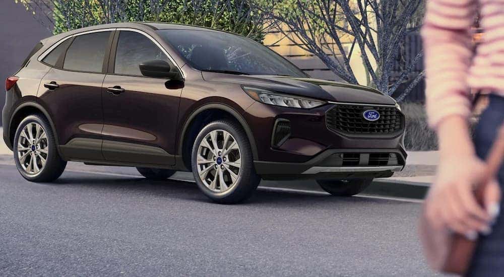 5 Affordable New and Used Ford Models That Deliver Great Value