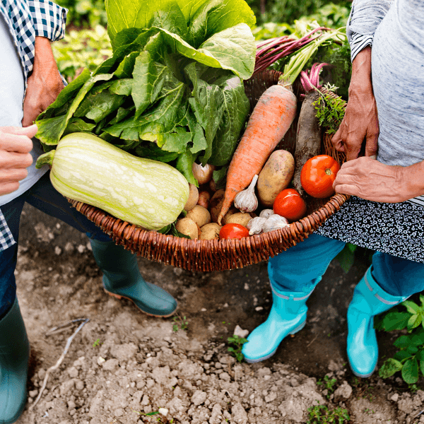 How to Start a Garden in Montana | Kalispell Ford