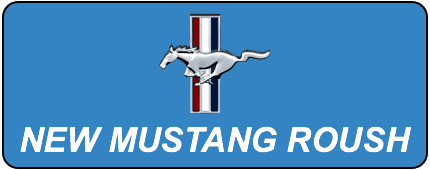 ROUSH Mustang Indy | Ray Skillman Ford